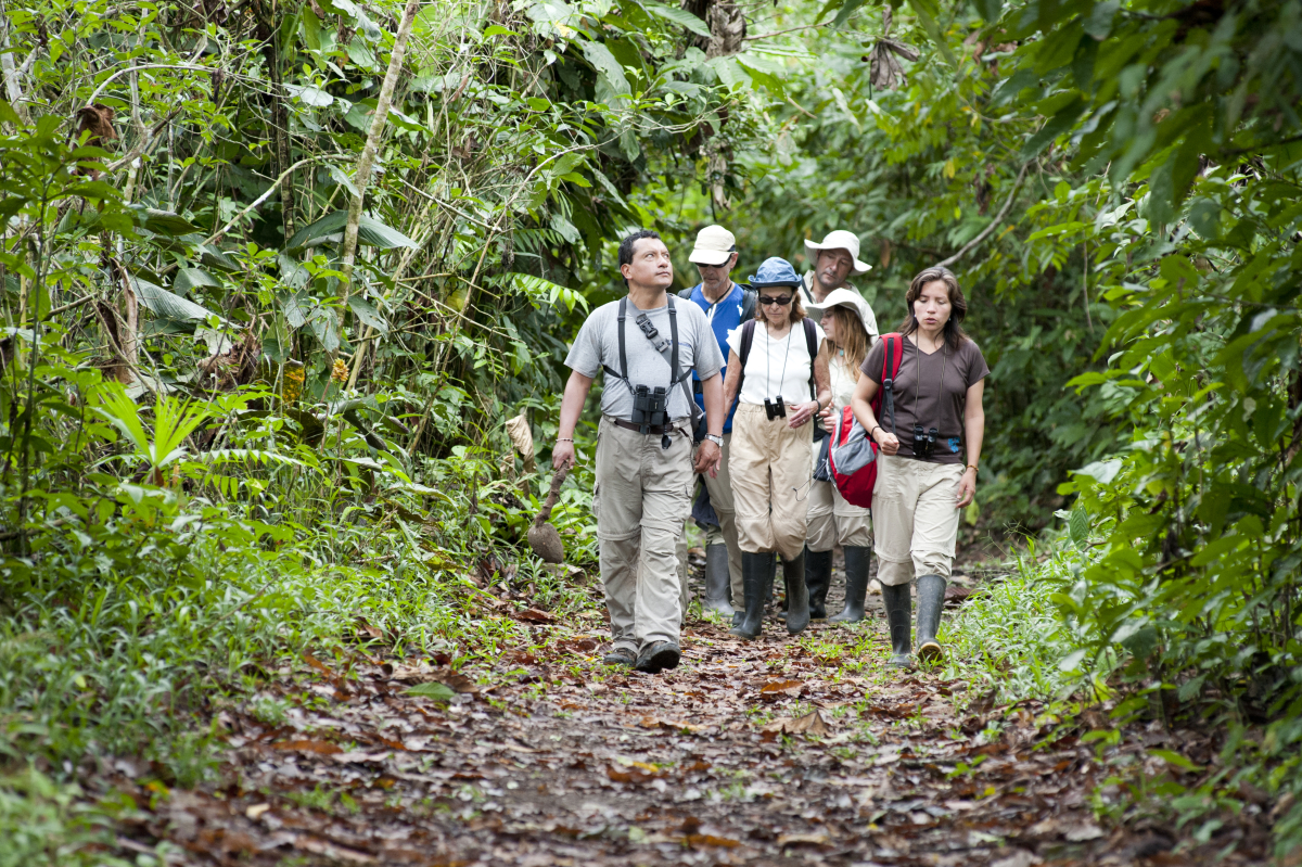 Discover Ecuador’s Amazon: Nature & Indigenous Cultures