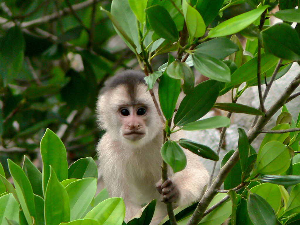 La Selva Eco-Lodge & Retreat - Columbus Ecuador